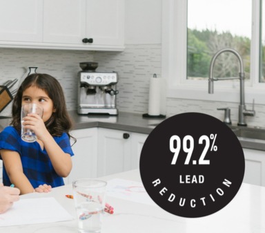 Watts Pure H20 Lead Water Filtration System | Premier H2O