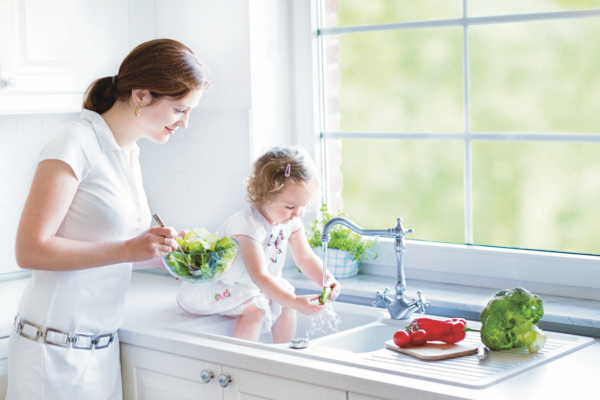 UV-3 Ultraviolet Water Filtration System | Premier H2O